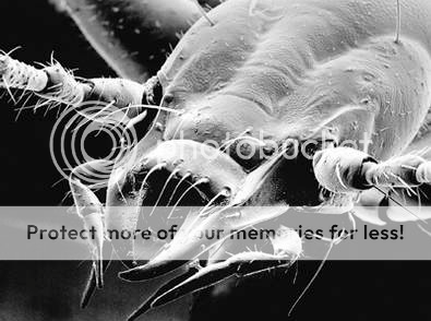 Don't you just love The Far Side? - Discussion Forums - Banjo Hangout