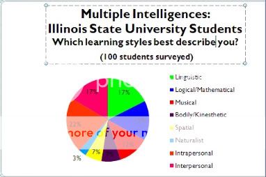 Multiple Intelligences: November 2009