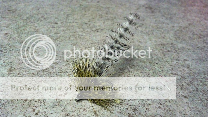 Blind Casting Mangrove Fly? | Dedicated To The Smallest Of Skiffs