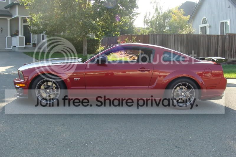 Steeda street wing, A+ shape, Painted black | S197 Mustang Forum ...