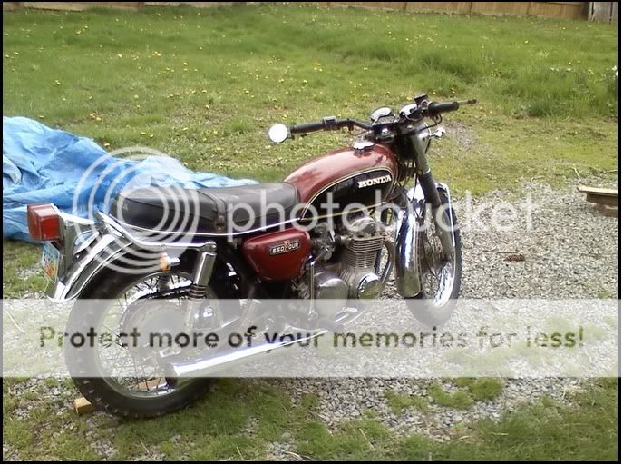 Is this boss maroon metallic paint?